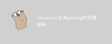 detailed explanation of the steps to install golang on ubuntu golang php cn