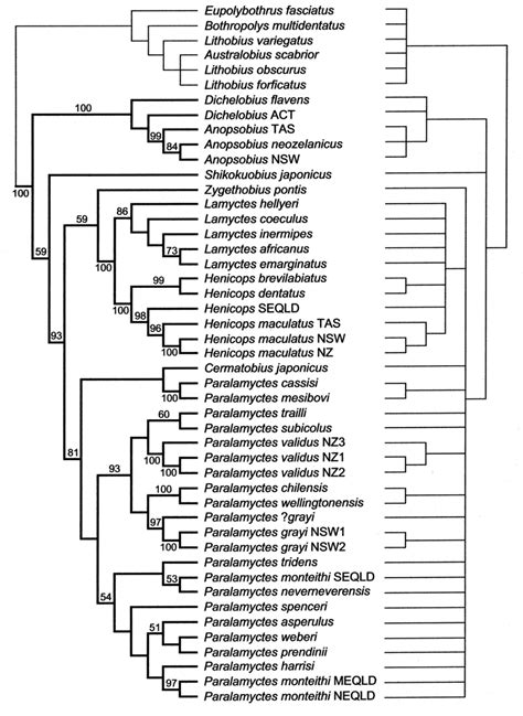 Cladograms Based On The Combined Analysis Of All Molecular Data