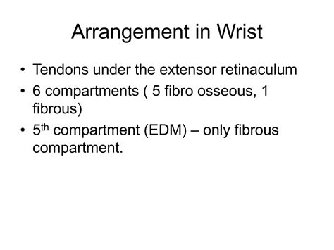 Extensor Tendon Injuries Hand Pptx Death Injury Or Military Conflict Sensitive Topics