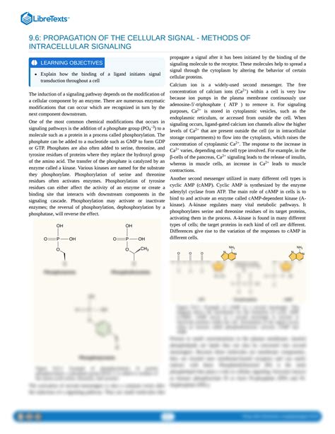 SOLUTION Propagation Of The Cellular Signal Methods Of Intracellular