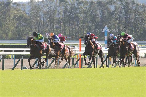輝き再び！ 京都大賞典サトノダイヤモンド制す Moment日刊ゲンダイ