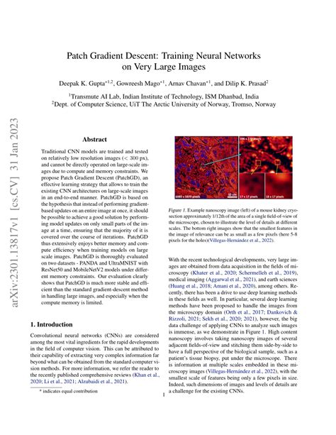 pdf patch gradient descent training neural networks on very large images