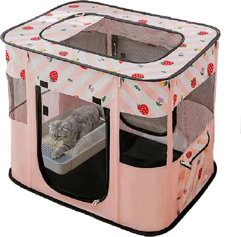 First Class The Puurfect Cat Crate For Your Travel Buddy