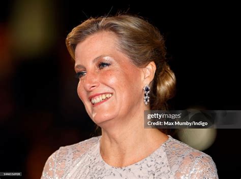 Sophie Countess Of Wessex Attends The 2022 Royal Variety Performance
