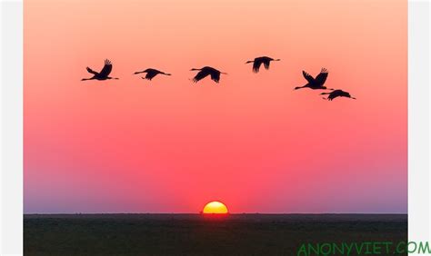 ví dụ về code HTML đơn giản mà bạn có thể học trong phút AnonyViet