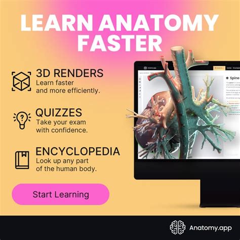 3d Models Articles And Quizzes And More Learn Anatomy Faster With A