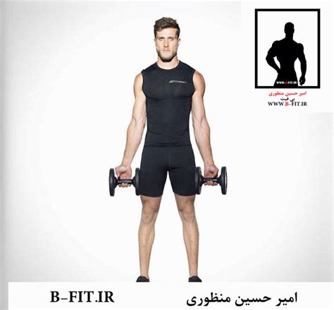 ساعد ایستاده دمبل Bfit Team・بی فیت تیم