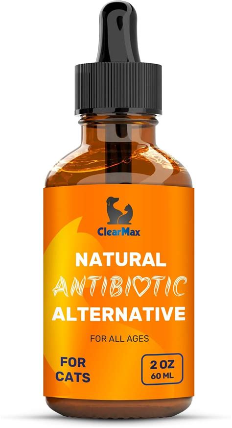 Natural Antibiotics For Cats Cat Antibiotics Supports