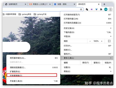 Chrome 浏览器经常卡死问题解决 知乎