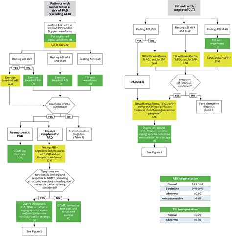 the 2024 acc aha aacvpr apma abc scai svm svn svs sir vess guideline for the management of lower