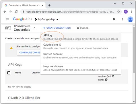 Ng K Google Map Api Key Openplanning Net