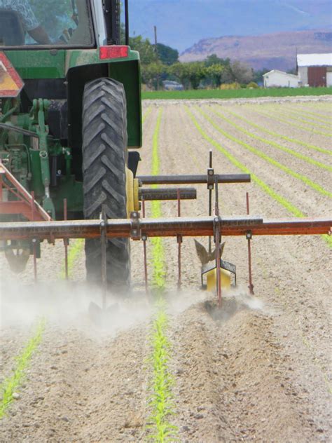 Owyhee Agriculture Cultivating