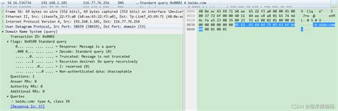 使用nslookup进行dns查询及tcpdumpwireshark抓取dns数据包qdnslookup Ip地址查找dns Csdn博客