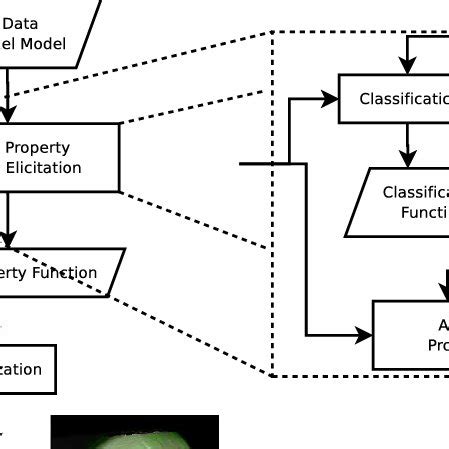 A A Simplified View Of Direct Volume Rendering Pipeline B Direct