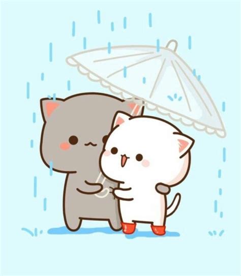 Pin By O M On Peachcat Kawaii Cute Cat Wallpaper Cute Easy Drawings