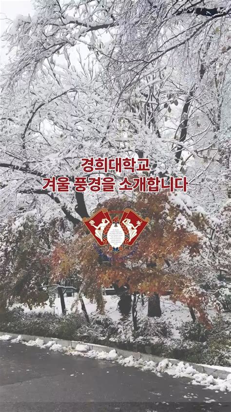 경희대 미디어커뮤니케이션 대학원 안녕하세요 경희대학교 미디어커뮤니케이션대학원입니다 🙇‍♀ 1인 미디어 영상을 촬영하기