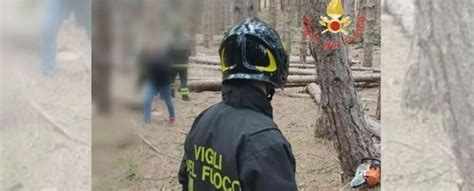 Tragedia In Calabria Giovane Schiacciato Dall Albero Che Stava