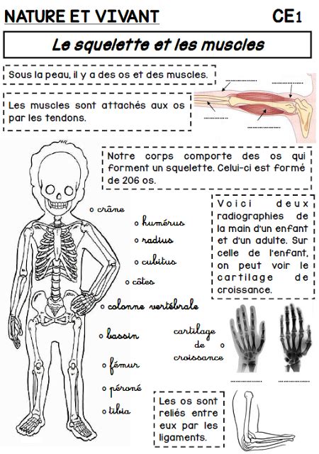 Pingl Sur Corpo Identidade