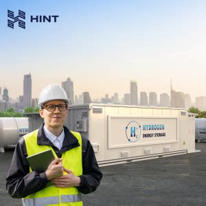 Predictive Emission Monitoring Systems PEMS Hint Global