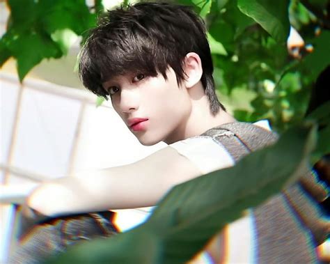 Pin On ♥ 丁程鑫 Ding Cheng Xin Đinh Trình Hâm