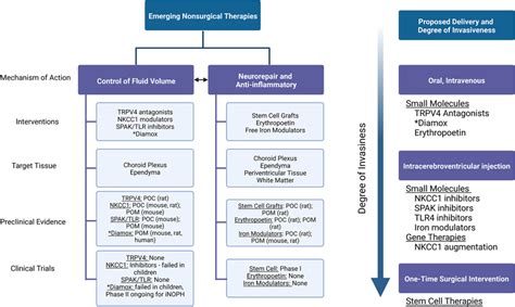 Of Targets In Preclinical Stages Diamox Indicates Diamox Treatment Download Scientific