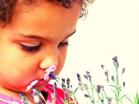 8 Fun Sense Of Smell Activities For 1st Graders More Than Just Reading