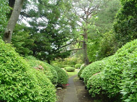 八戸南部氏庭園が春の一般公開 uniawabioyoyoの前立腺がん日記 楽天ブログ