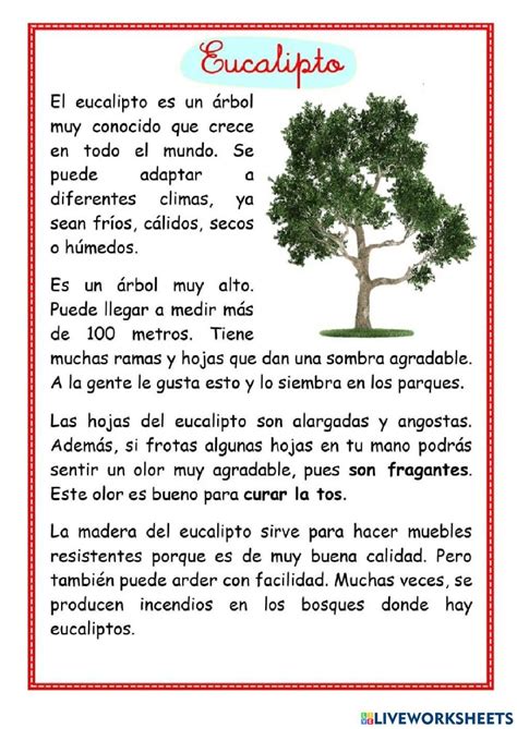 Plan Lector Interactive Activity For Primaria Artofit