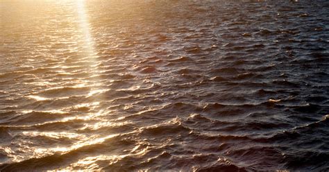 Corey Templeton Photography A Golden Sea
