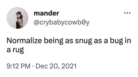 Snug As A Bug In A Rug Meme Snug As A Bug In A Rug Know Your Meme