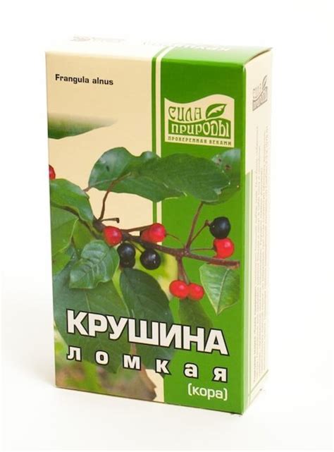 Кора крушины: свойства и противопоказания, применение крушины для похудения
