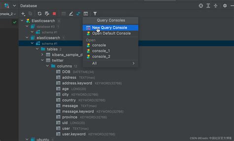 Elasticsearch：intelij Elasticsearch Plugin 集成 Tgcode