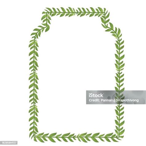 어깨 아치 녹색 잎 프레임 건축 창 문 녹색 잎 벡터 꽃 프레임 화 환 꽃 잎 단풍 나뭇잎 식물 월계수 꽃 자연 장식 결혼 기념일 축 하 아름 다운 아라비아 풍의 요소 0