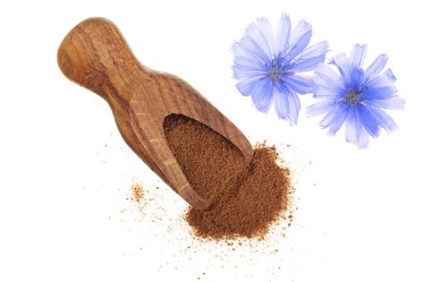 치 코리 꽃 고 흰색 배경에 고립 된 나무 국자에 인스턴트 치 코리의 분말 Cichorium Intybus 0명에 대한 스톡
