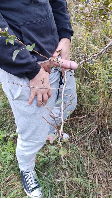 Autumm Walking In Forest 3 Pics Xhamster