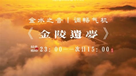『五音疗疾』宣肺气强肾气，宁心净脑，缓解疲劳，清理大脑，降火去燥。头晕脑胀，心烦意乱，乏力疲劳，记忆力减退，学习压力大用脑过度没有专注力可多听