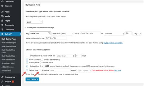 Bulk Delete Posts By Custom Field Bulk WP