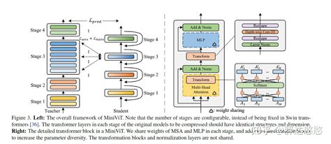 Vit轻量化论文3 Minivit Compressing Vision Transformers With Weight