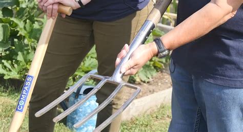 Pitchfork Vs Garden Fork Whats The Difference Gardenprofy