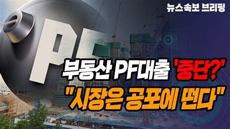 뉴스속보 부동산 Pf대출 중단건설 시행사 곧 줄도산 정완진tv Youtube