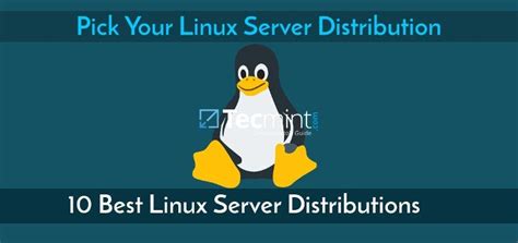 10 Best Linux Server Distributions Of 2020 R Linux4noobs