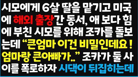 신청사연 시모에게 6살 딸을 맡기고 미국에 해외 출장 간 동서 애 보다 힘에 부친 시모를 위해 조카를 돌보는데 큰엄마 이건 비밀인데요 신청사연 사이다썰 사연