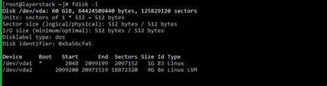 Layerstack Tutorials Layerstack Configuring And Formatting A New Partition On Linux Cloud