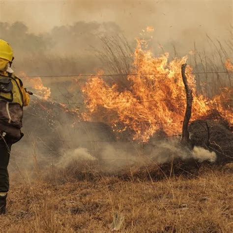 Fuego En Entre Ríos Y Santa Fe Brigadistas Combaten Los Incendios En