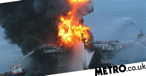 Deepwater Horizon Still Harming Dolphins More Than A Decade Later