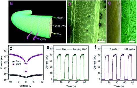 Nanowire Network Based Photodetectors With Imaging Performance For Omnidirectional