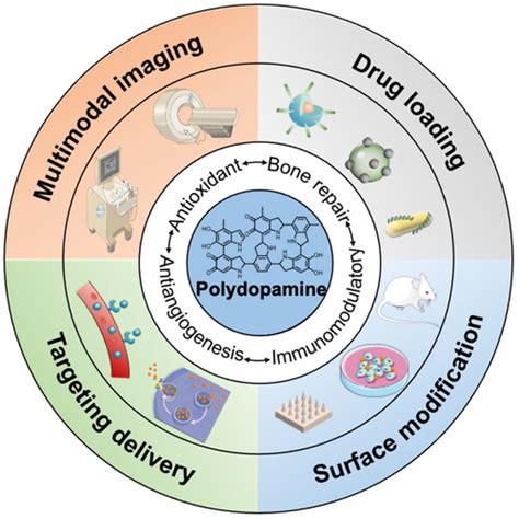 Full Article Polydopamine Nanomaterials And Their Potential Applications In The Treatment Of