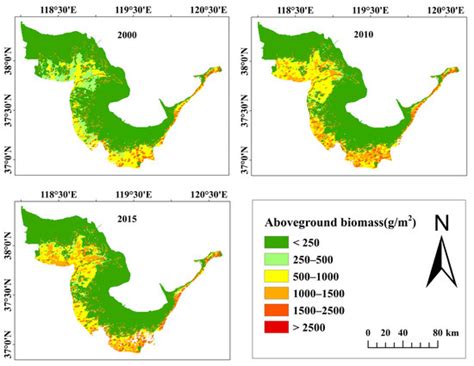 Remote Sensing Special Issue Applications Of Multi Scale Remote