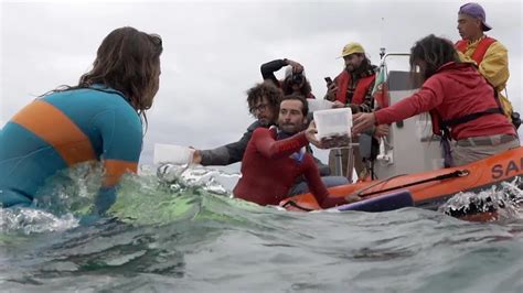 Enhancing Kelp Resources For The Benefits Of Nature And Society Youtube