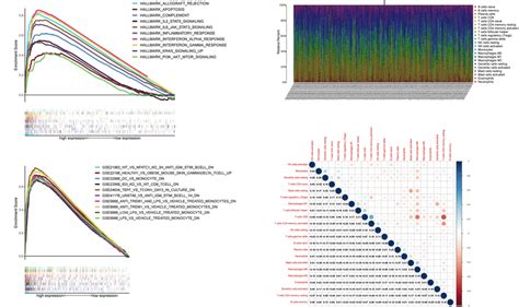 Gsea On The High And Low Cybb Expression Groups And The Correlational